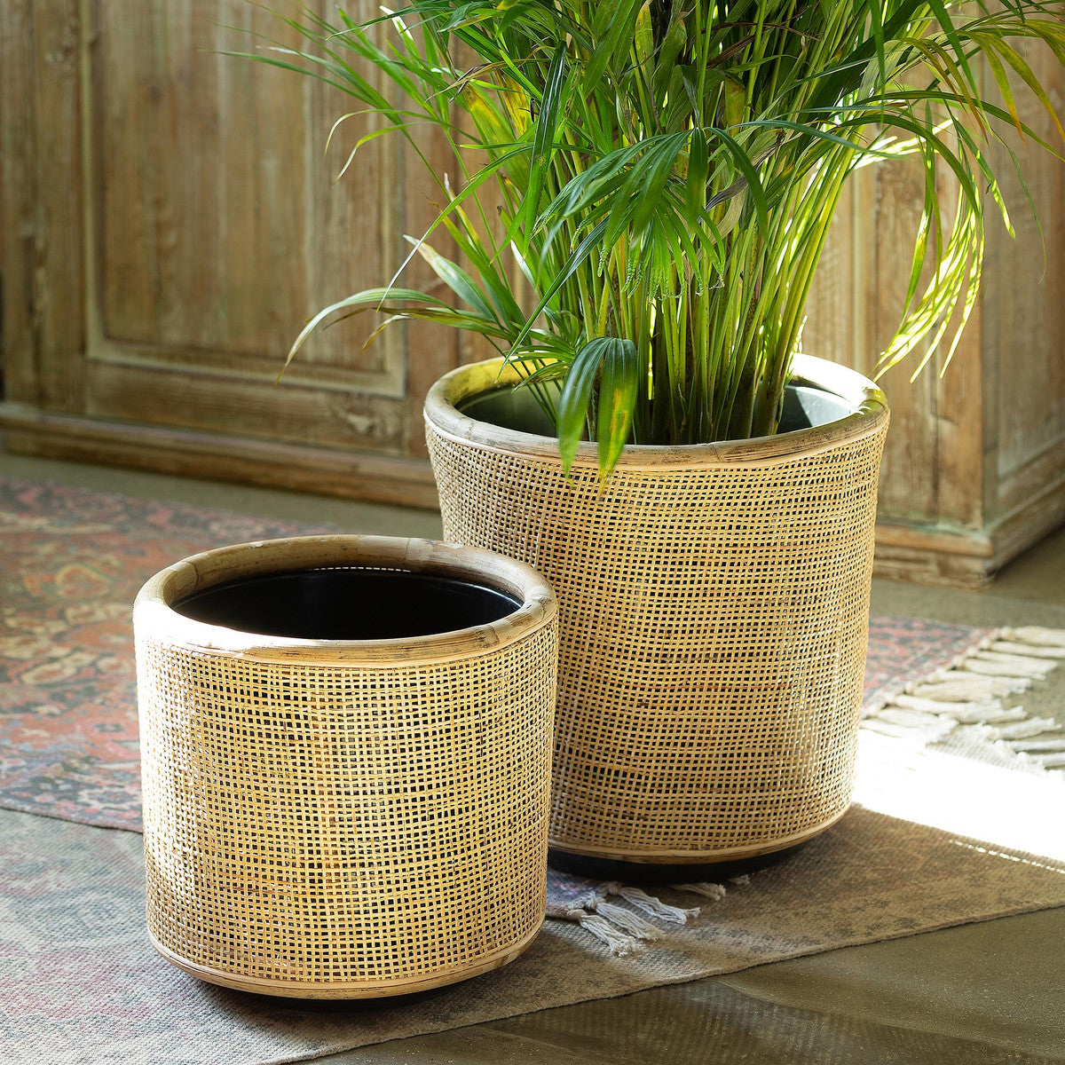 Jori's Home Essentials, Inc. – Jori’s Home Essentials, Inc.